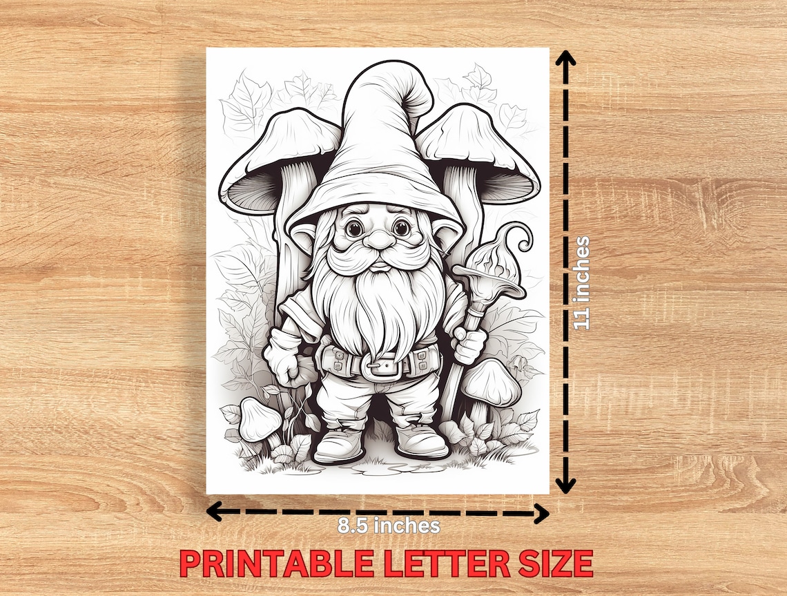 25 Gnomes Coloring Book, Educational Activities for Adults and Kids ...