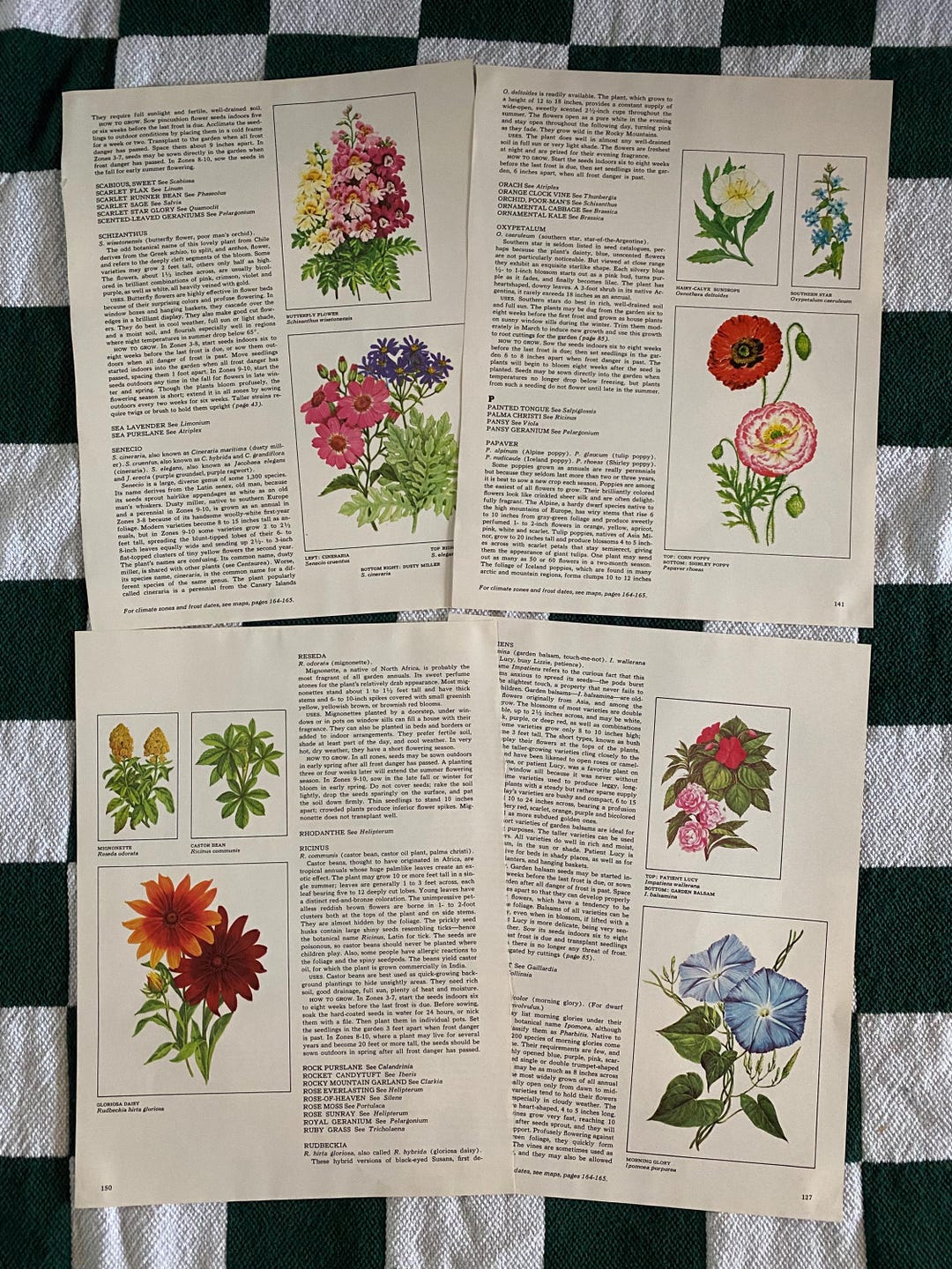 Vintage FLOWER Book Pages / Junk Journal, Scrapbooking, Collage ...