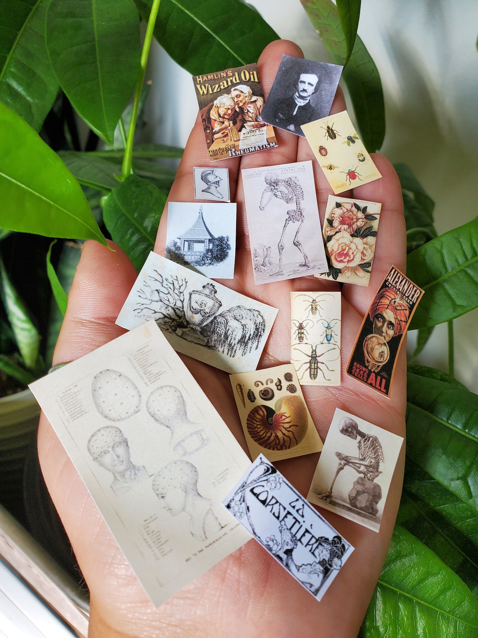 Printable Mini Pictures (public Domain/copy Right Free) - Etsy