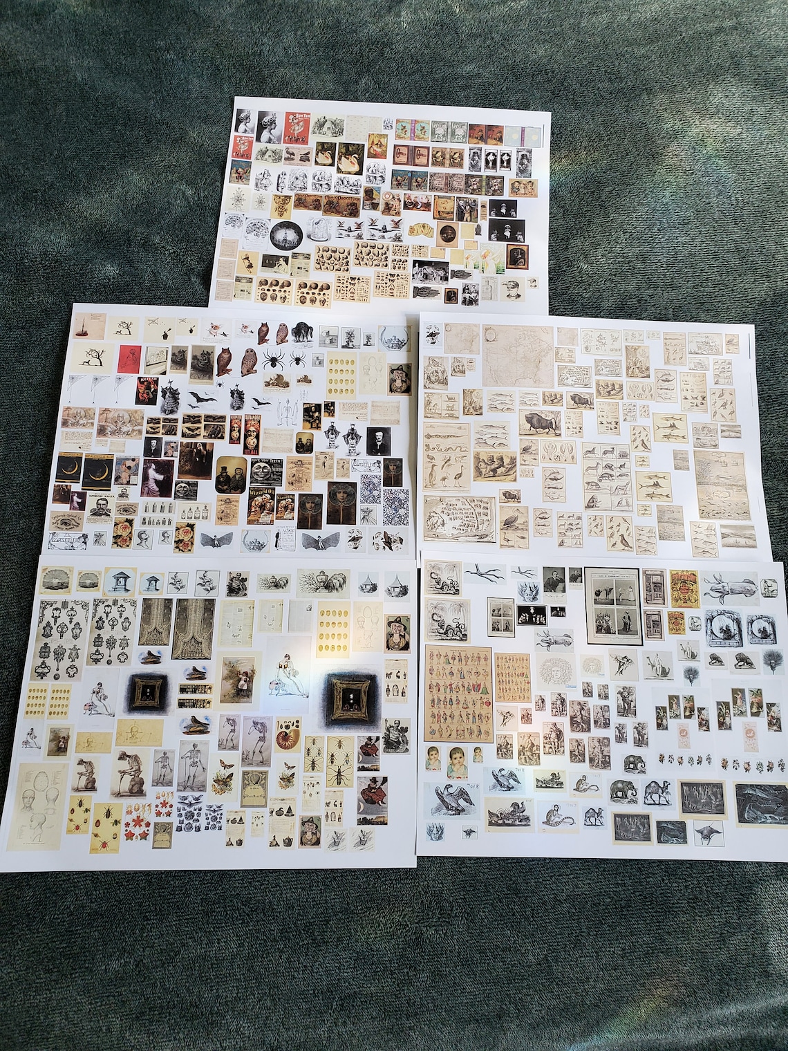 Printable Mini Pictures (public Domain/copy Right Free) - Etsy Canada