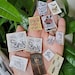 Printable Mini Pictures (public Domain/copy Right Free) - Etsy