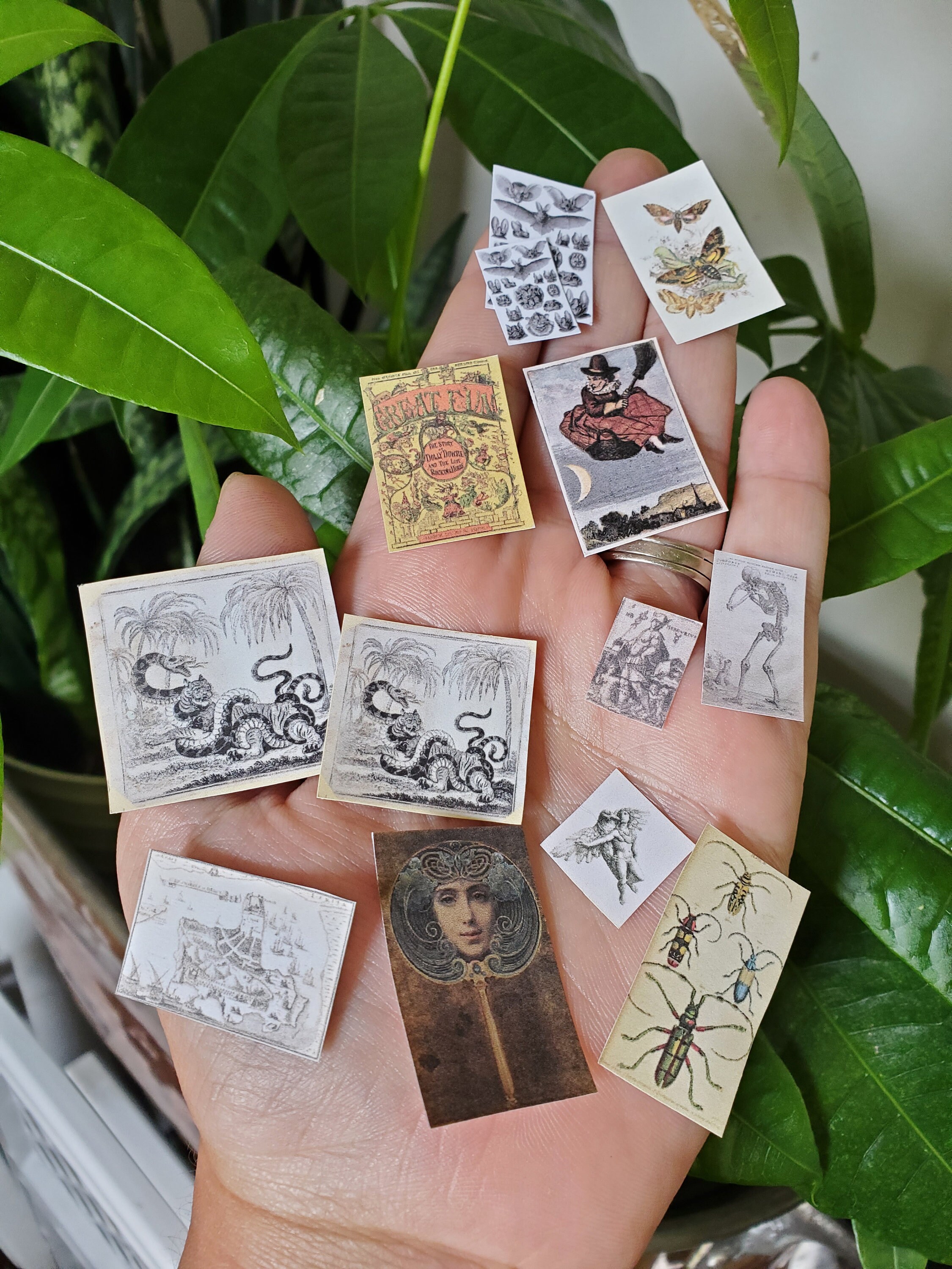 Printable Mini Pictures (public Domain/copy Right Free) - Etsy