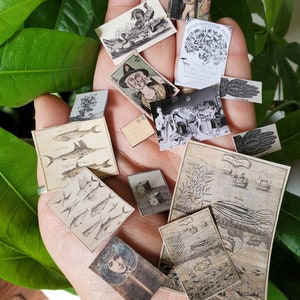 Printable Mini Pictures (public Domain/copy Right Free) - Etsy