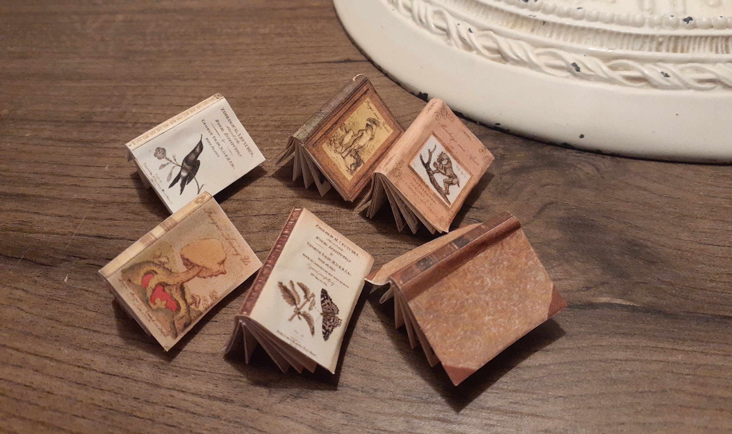 Printable Mini Books (6) 1:12 Scale Digital Download (apothecary, Study ...