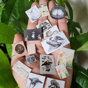 Printable Mini Pictures (public Domain/copy Right Free) - Etsy