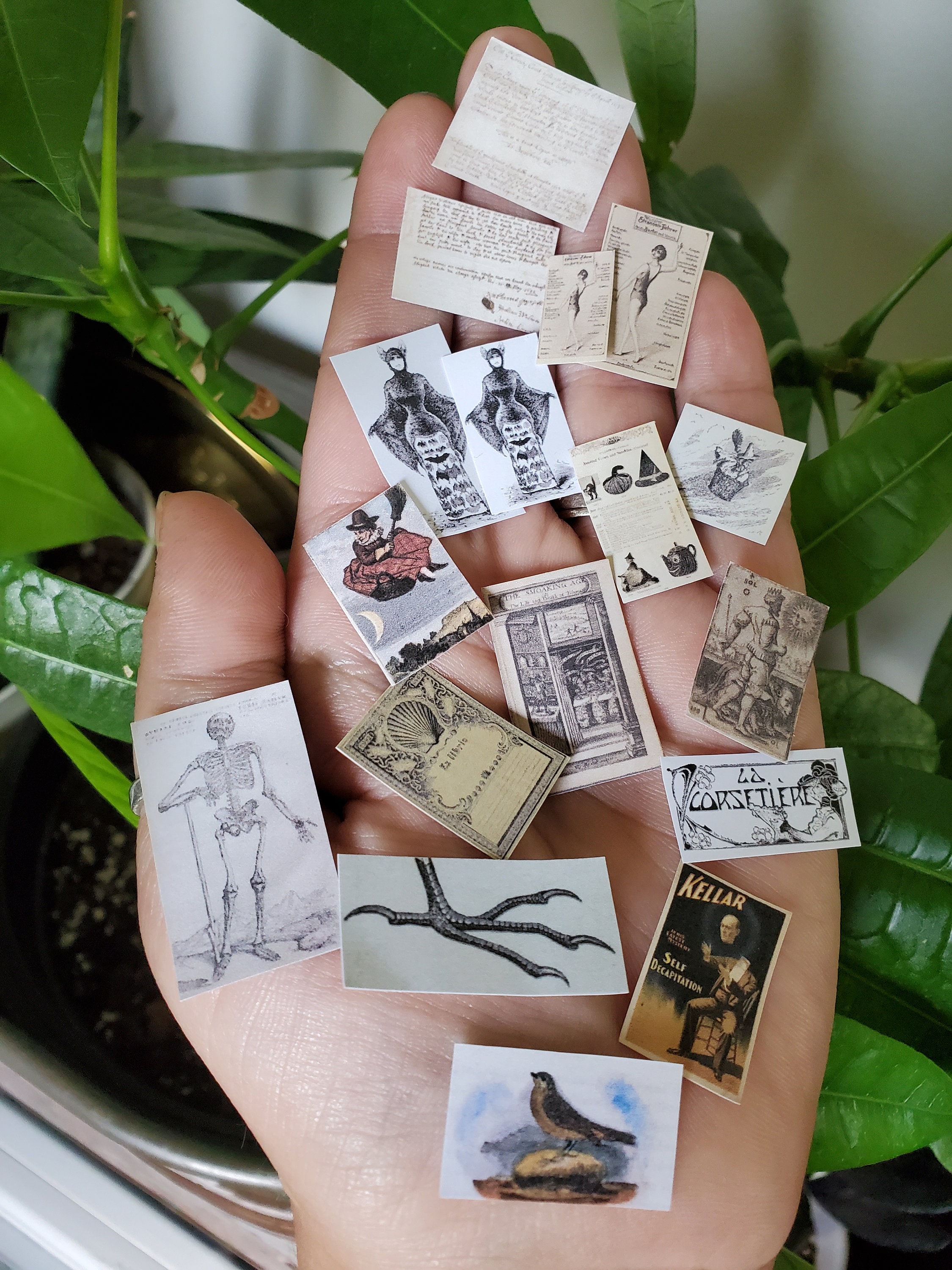 Printable Mini Pictures (public Domain/copy Right Free) - Etsy Canada