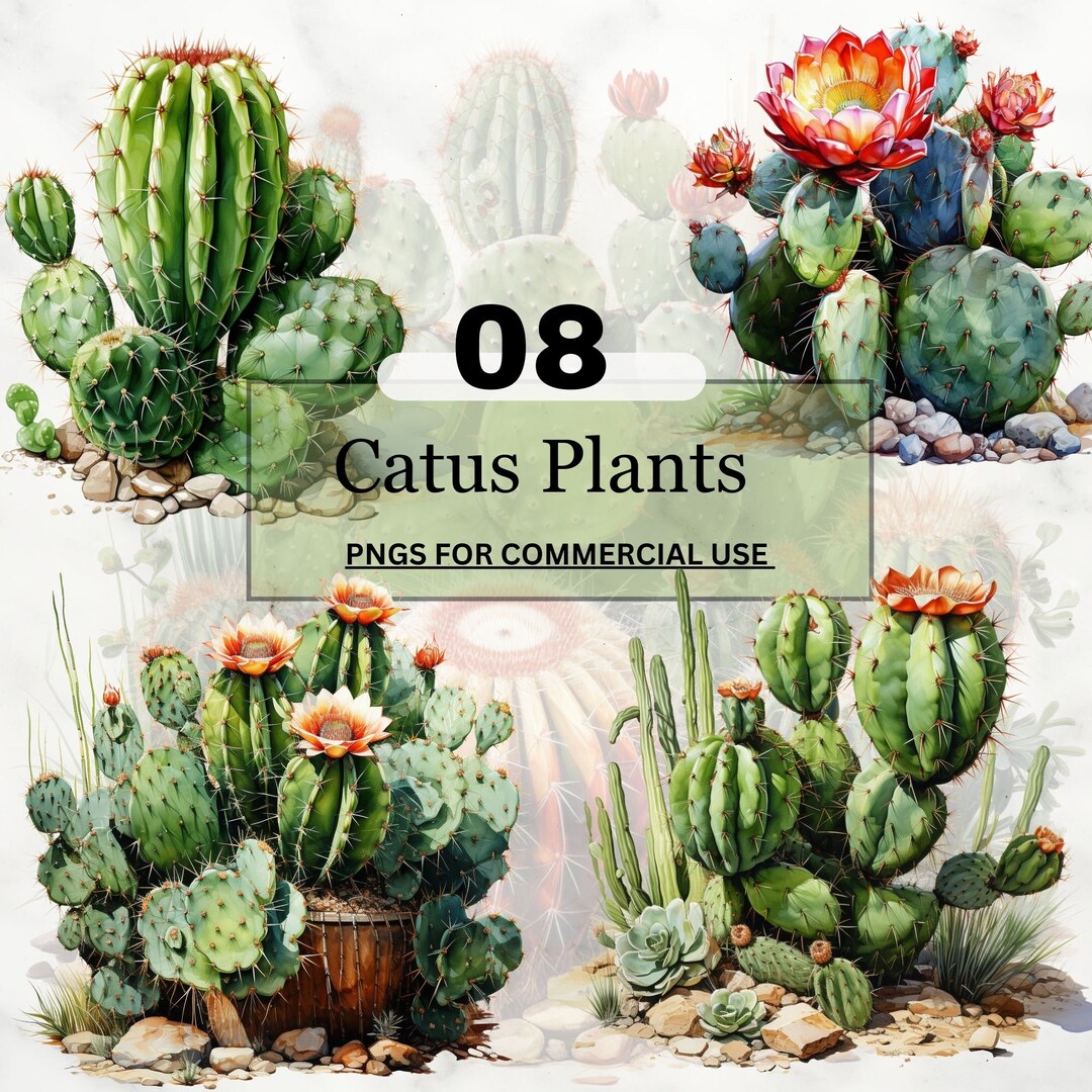 Watercolor Cacti Clipart Green Cactus Clip Art Succulent - Etsy