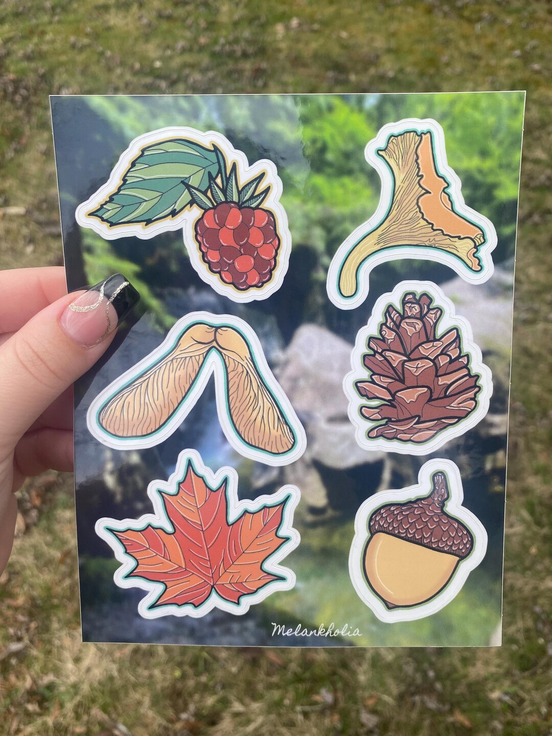 Forest Sticker Sheet - Etsy