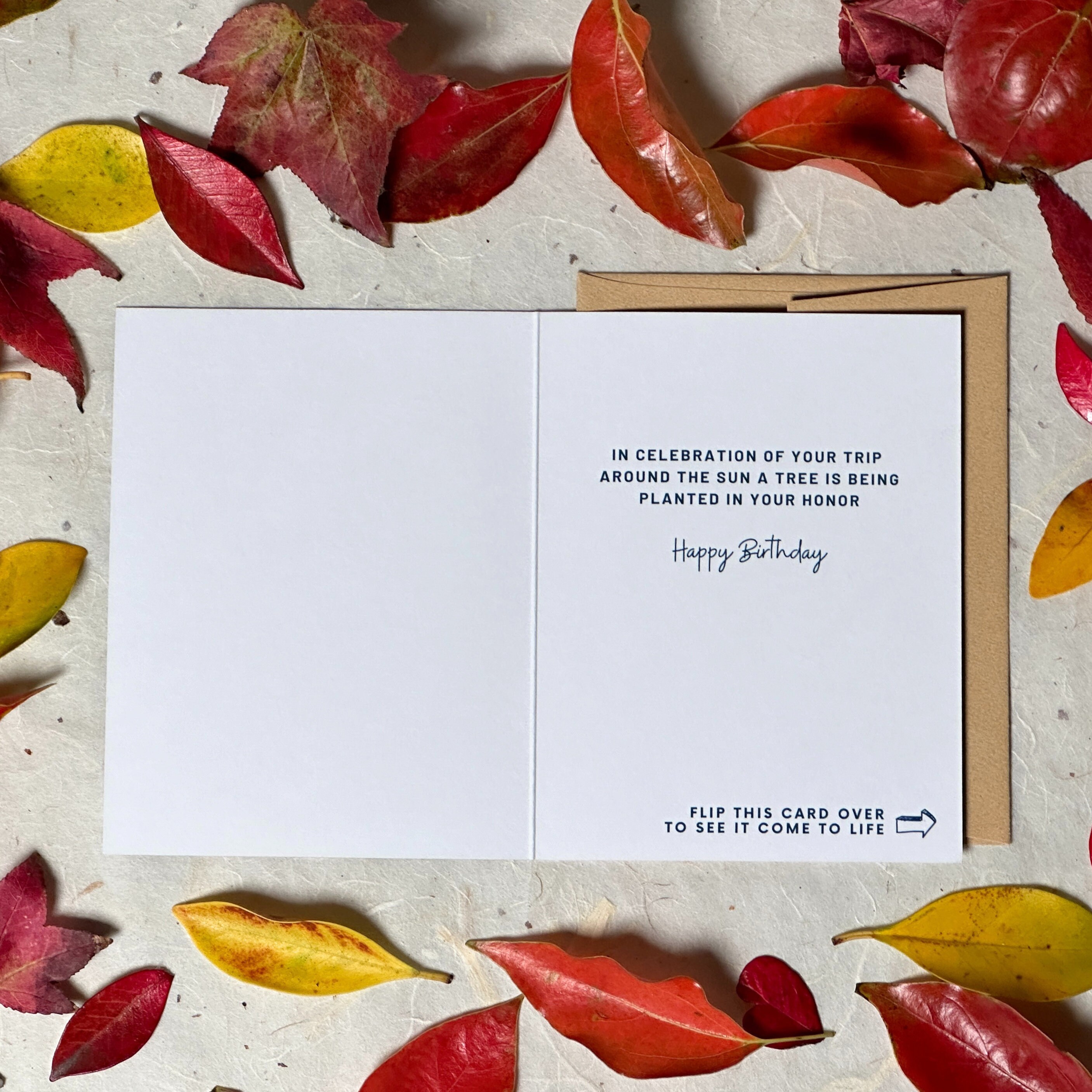 Plant A Tree Birthday Card With AR Video Augmented Reality Card Magic ...