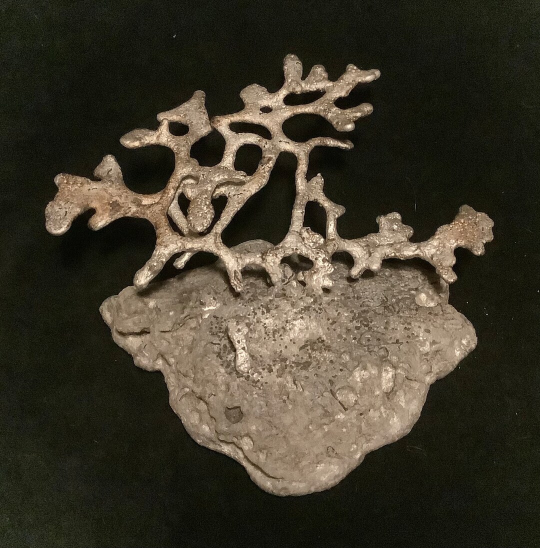 Late Season Harvester Ant Casting #1 - Etsy