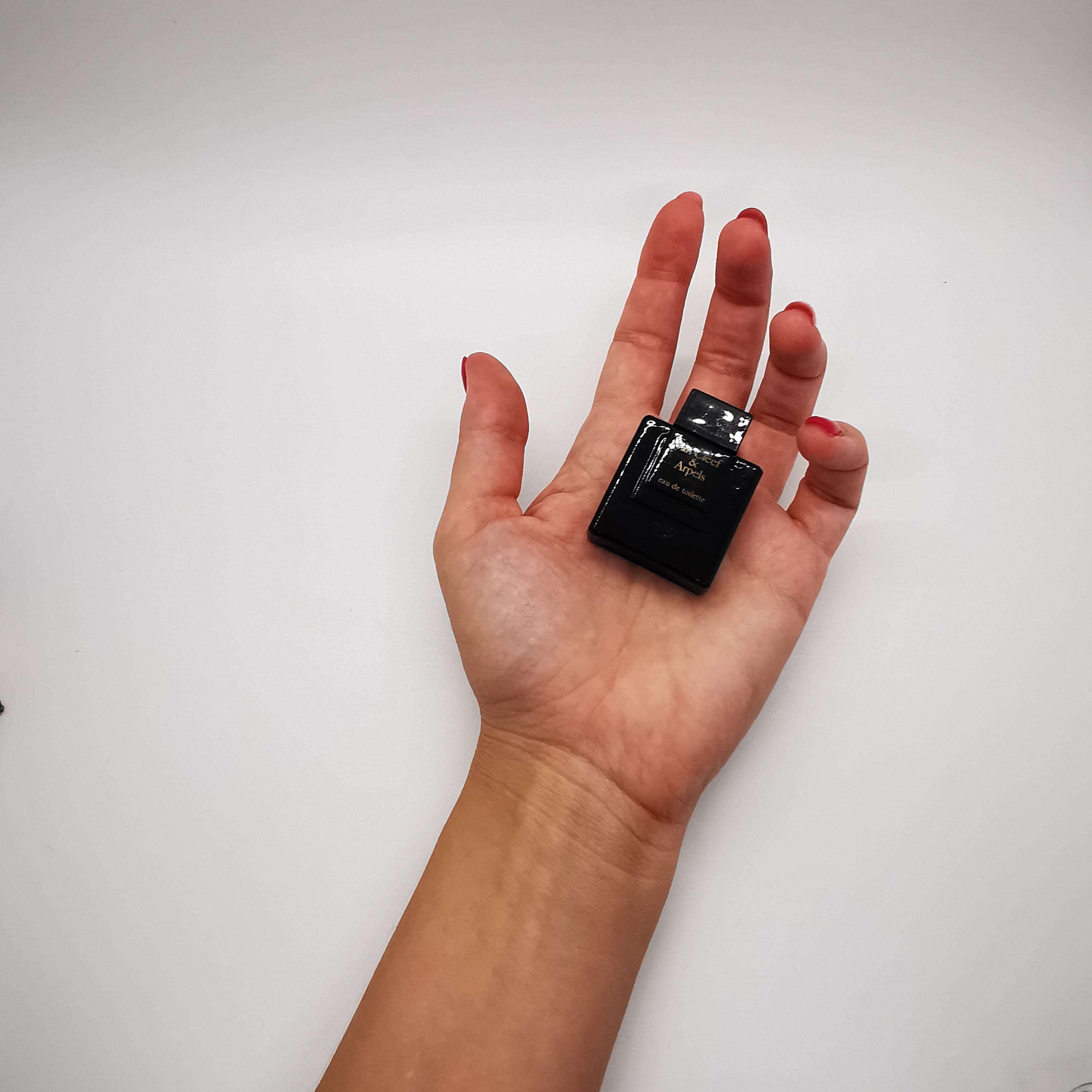 Van Cleef & Arpels pour Homme 1978 MINIATURE Perfume for Him. Eau De Toilette 5ml / 0.16 Fl.oz ...