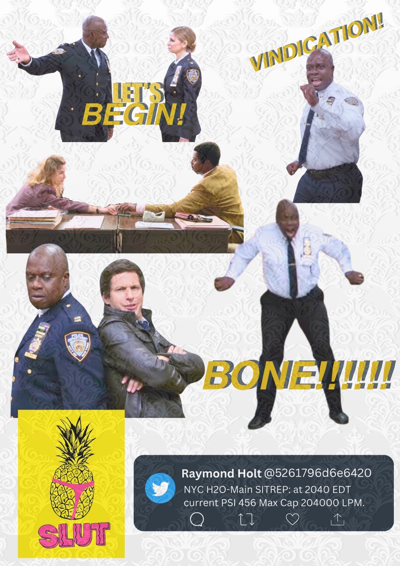 Ultimate Brooklyn Nine Nine Captain Holt Fan Sticker Pack | Waterproof ...