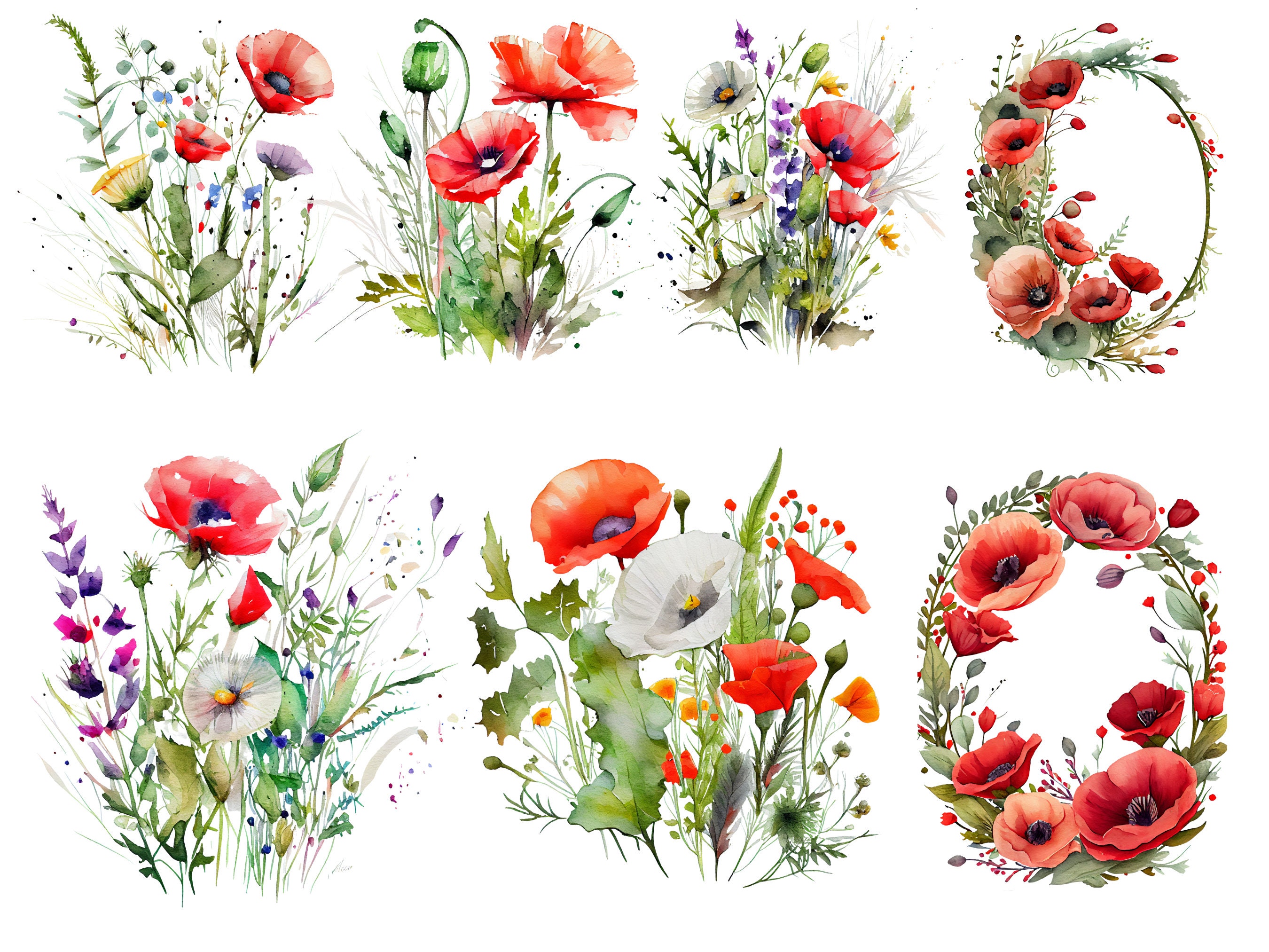 Poppy Clipart, Poppy Flower Clipart, Poppy PNG, Poppy Flower PNG, Poppy ...