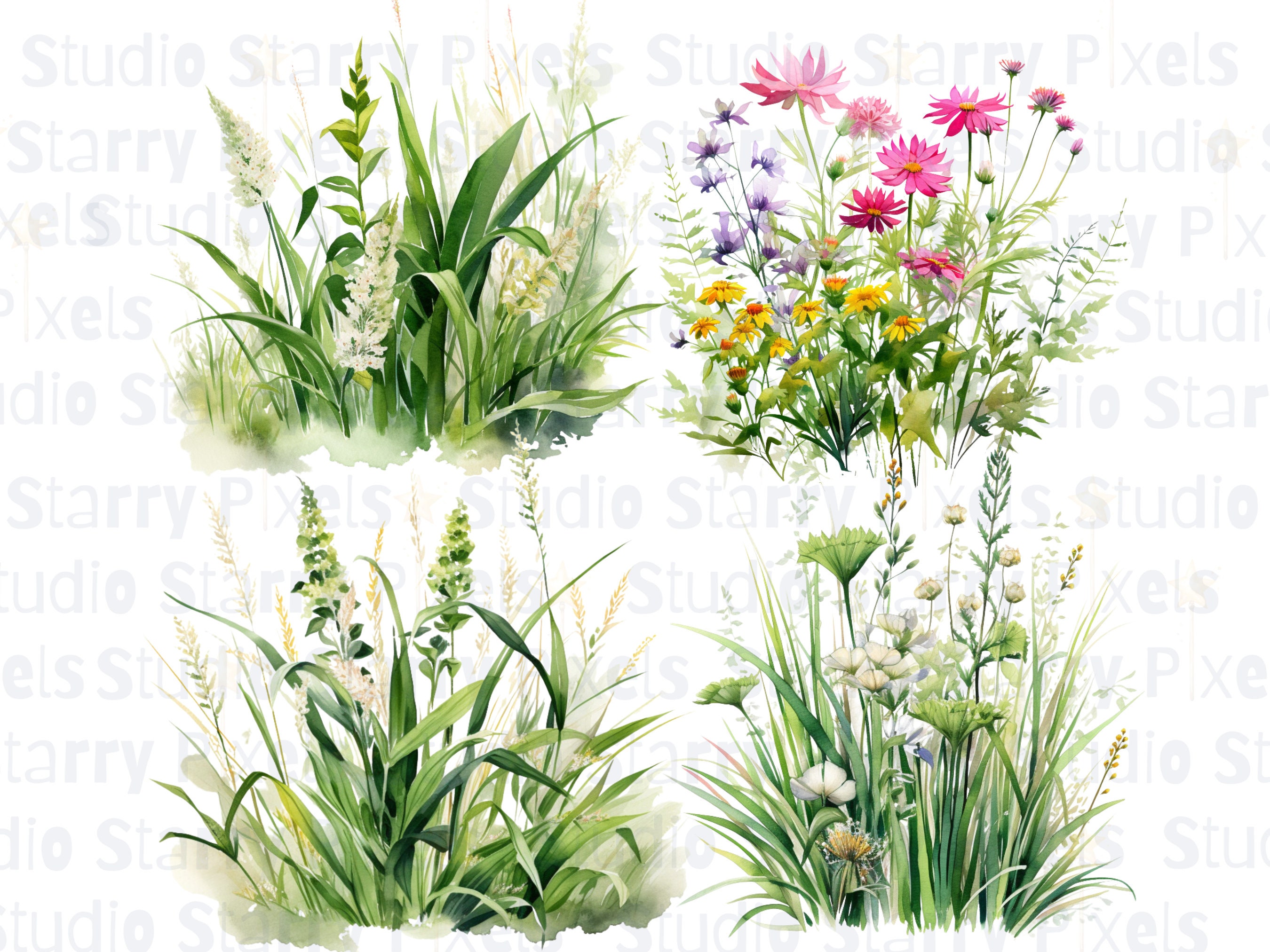 Bright Meadow Flowers Clipart Wildflower Floral Clip Art - Etsy