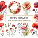 Poppy Clipart, Poppy Flower Clipart, Poppy PNG, Poppy Flower PNG, Poppy ...