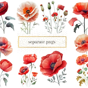 Poppy Clipart, Poppy Flower Clipart, Poppy PNG, Poppy Flower PNG, Poppy ...