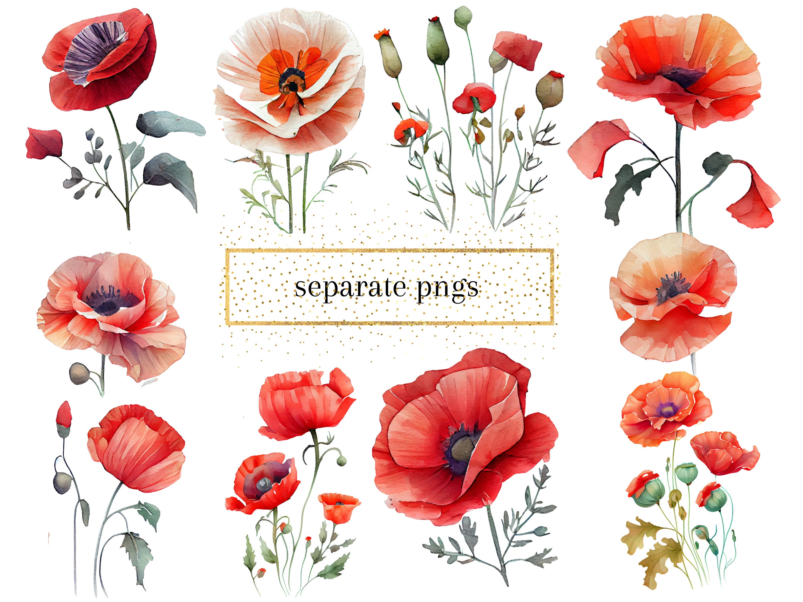 Poppy Clipart, Poppy Flower Clipart, Poppy PNG, Poppy Flower PNG, Poppy ...