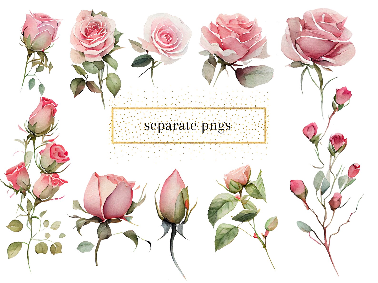 Pink Rose Clipart, Pink Rose Watercolor, Pink Rose Clip Art, Pink Rose ...