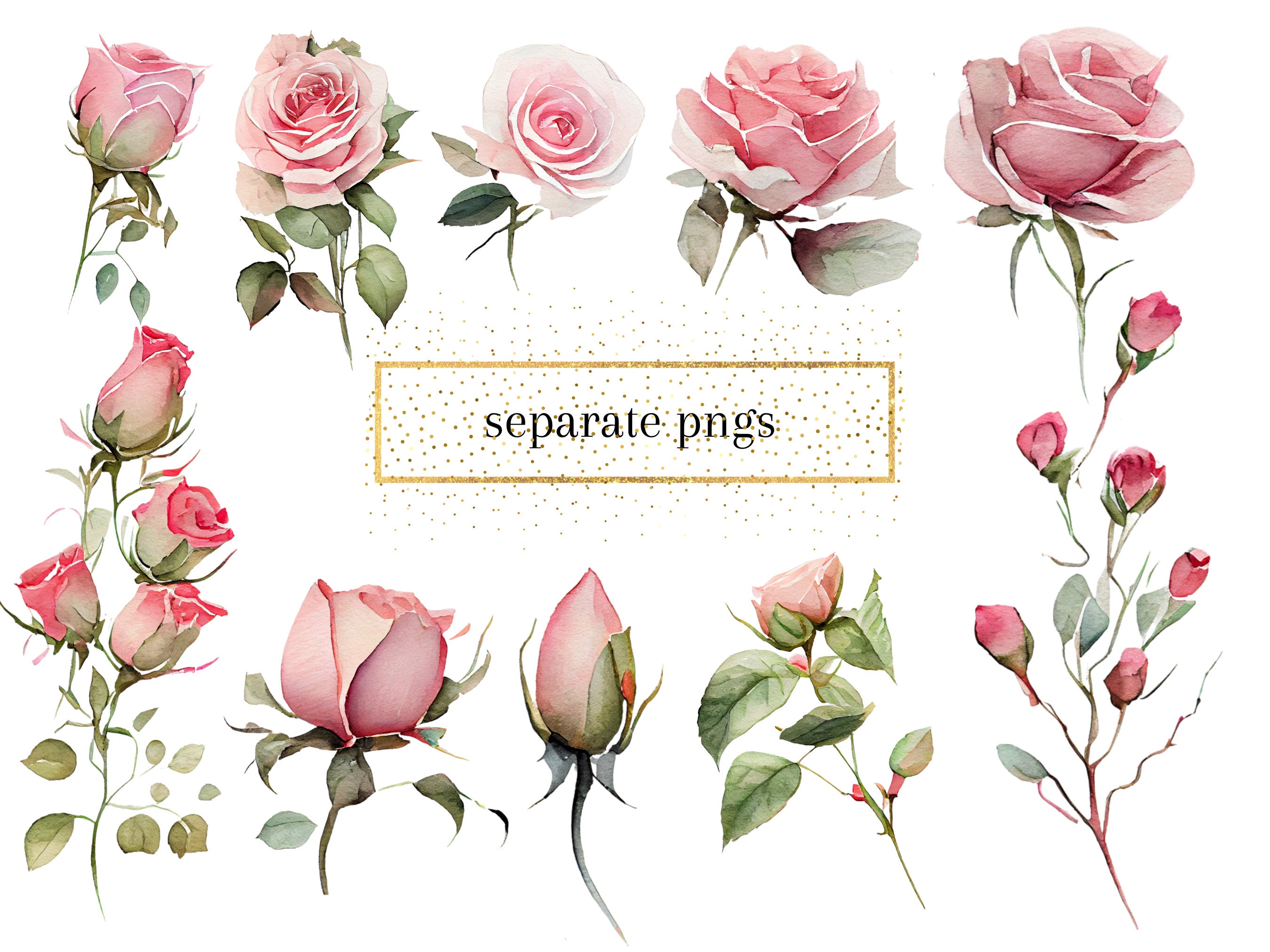 Pink Rose Clipart, Pink Rose Watercolor, Pink Rose Clip Art, Pink Rose ...