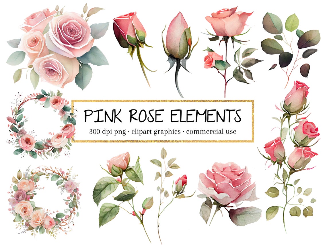 Pink Rose Clipart Pink Rose Watercolor Pink Rose Clip Art - Etsy