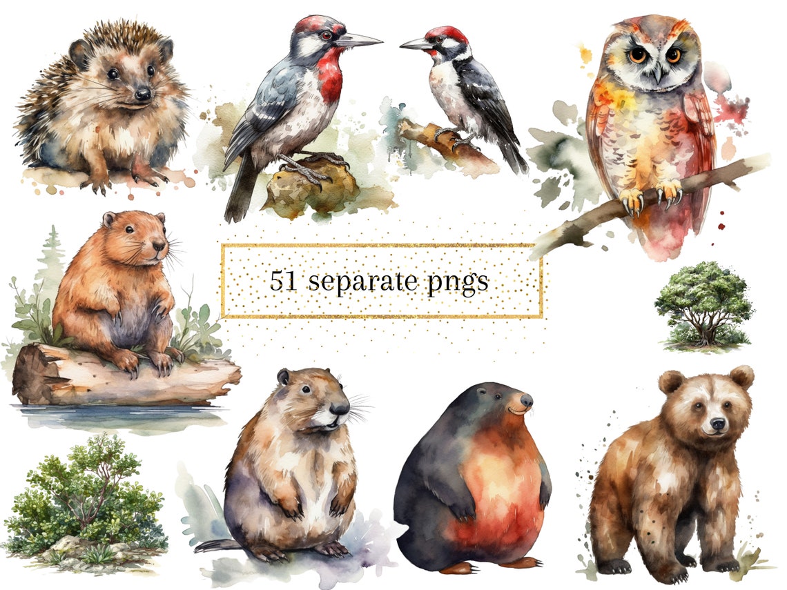 Woodland Animals Clipart PNG, Watercolor Animal Clipart, Watercolor ...