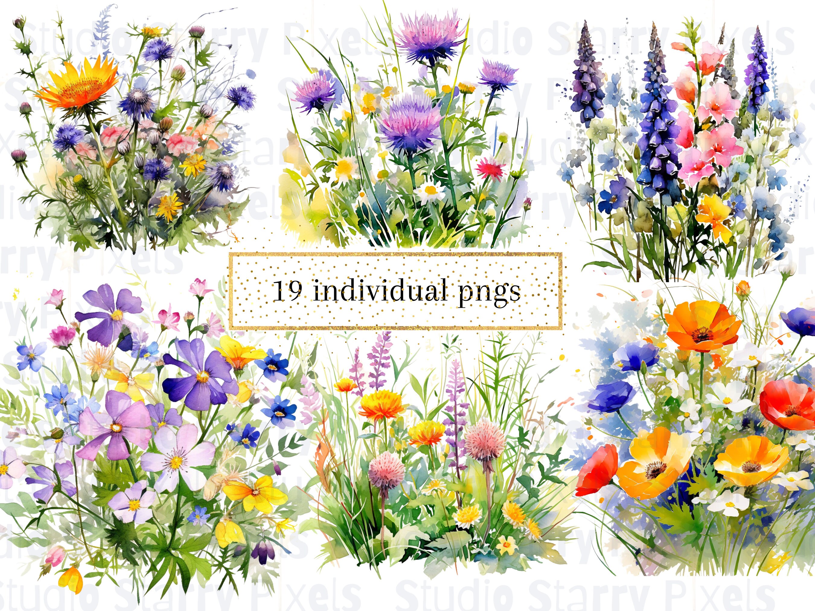 Bright Meadow Flowers Clipart Wildflower Floral Clip Art - Etsy