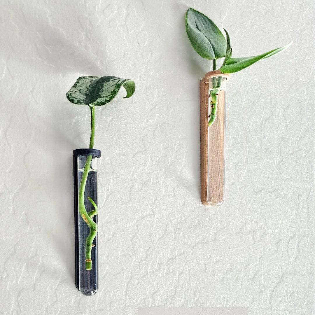 Plant Propagation Station Wall Mounted Propagation Unique Propagation ...