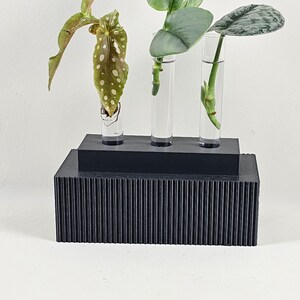Modern Propagation Station- Glass Plant Propagation- Hydroponic Vase ...