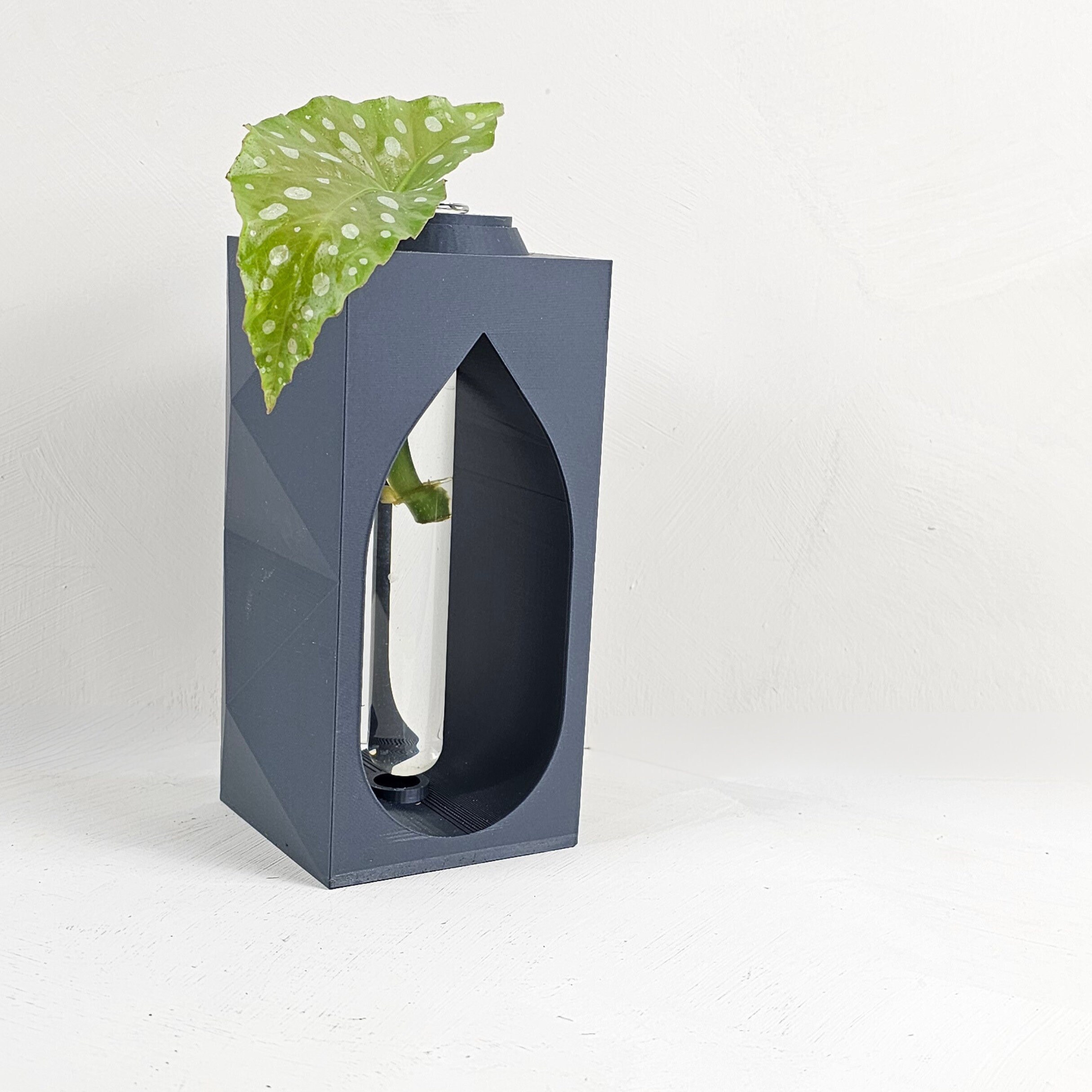 Plant Propagation Vase Unique Propagation Station Hydroponic Vase for ...