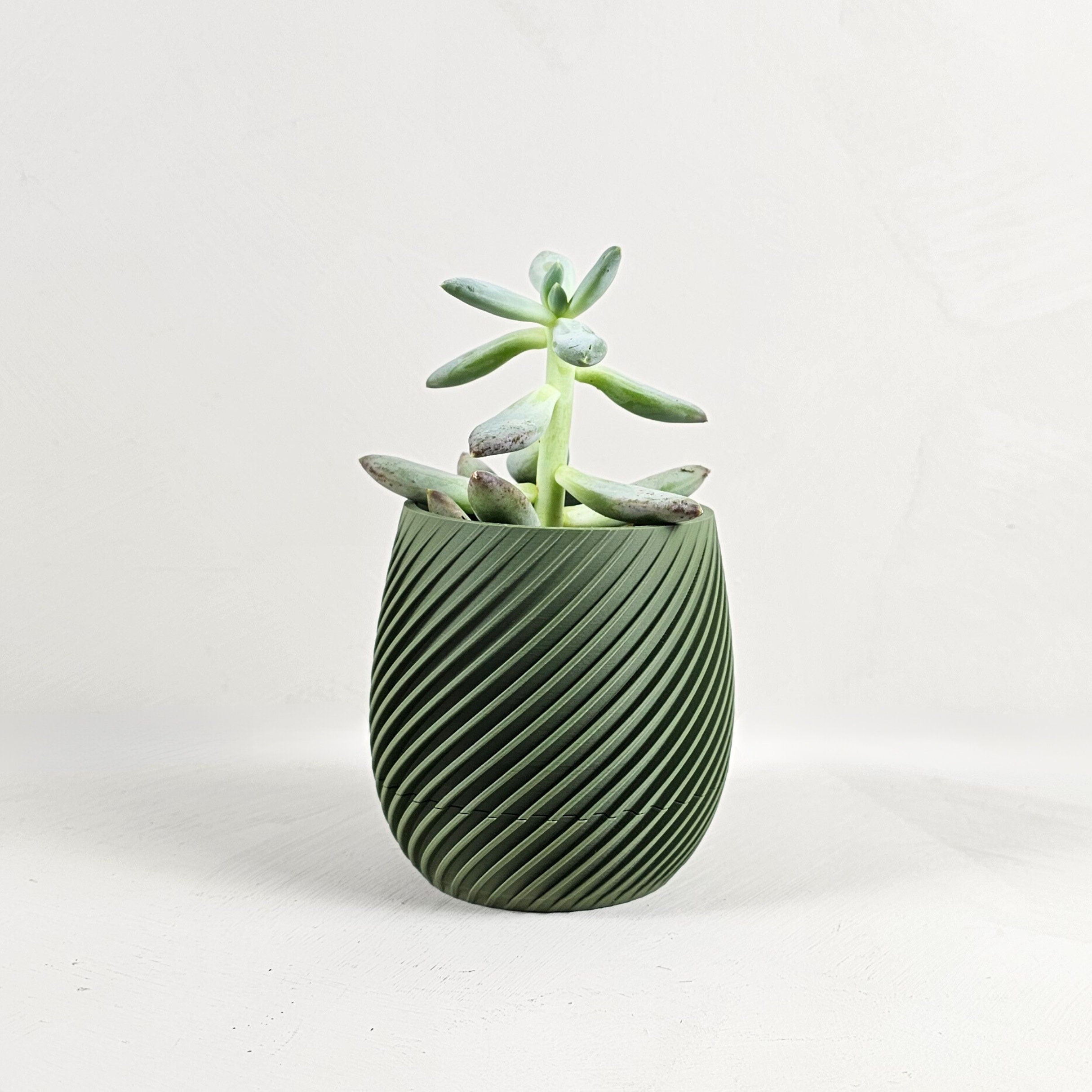 Unique Spiral Planter Pot With Drainage -planter Pot With Twist and ...