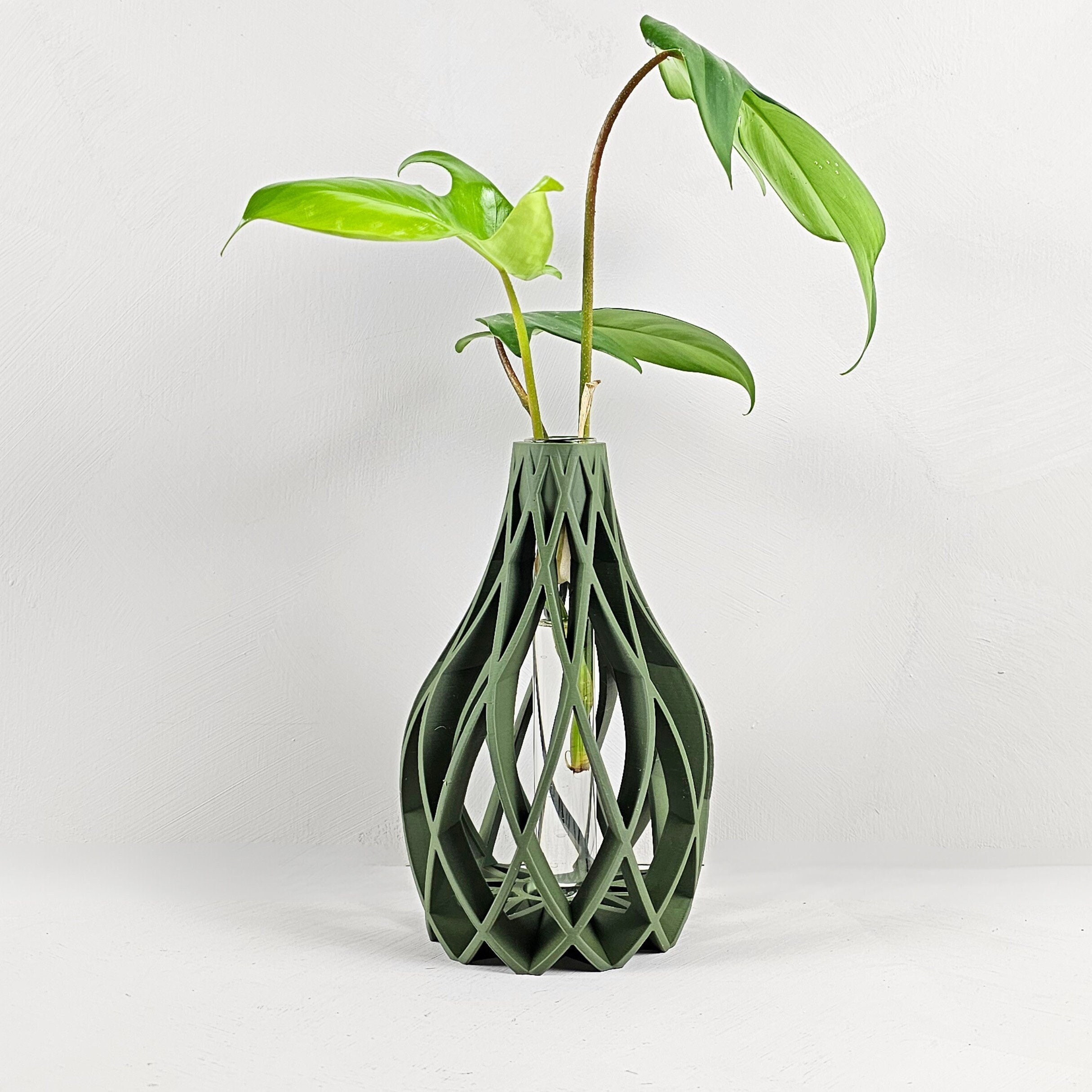 Plant Propagation Vase Unique Propagation Station Hydroponic Vase for ...