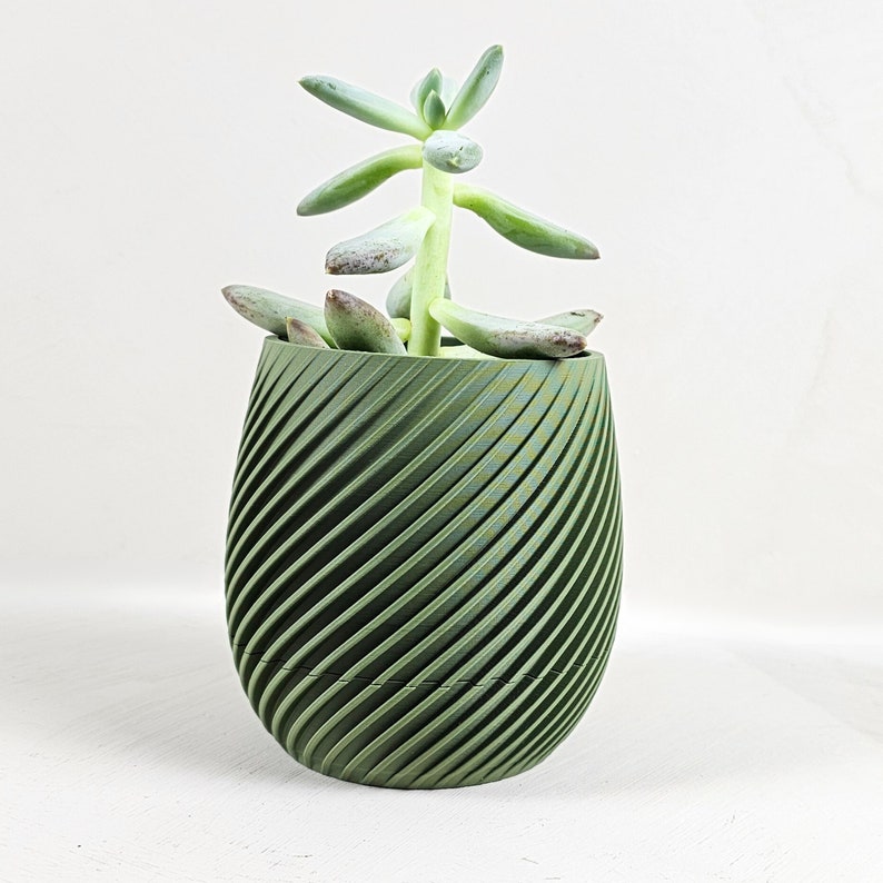 Unique Spiral Planter Pot With Drainage -planter Pot With Twist and ...