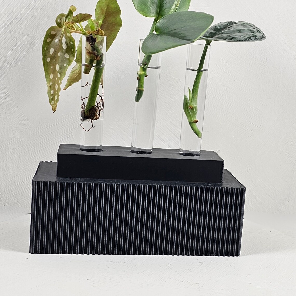 Modern Propagation Station- Glass Plant Propagation- Hydroponic Vase ...