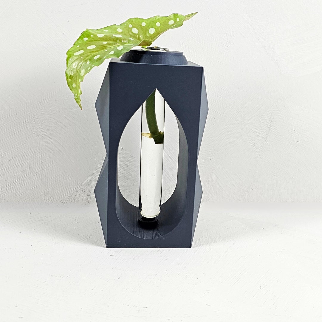 Plant Propagation Vase - Unique Propagation Station- Hydroponic Vase ...