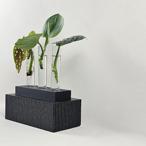 Modern Propagation Station- Glass Plant Propagation- Hydroponic Vase ...