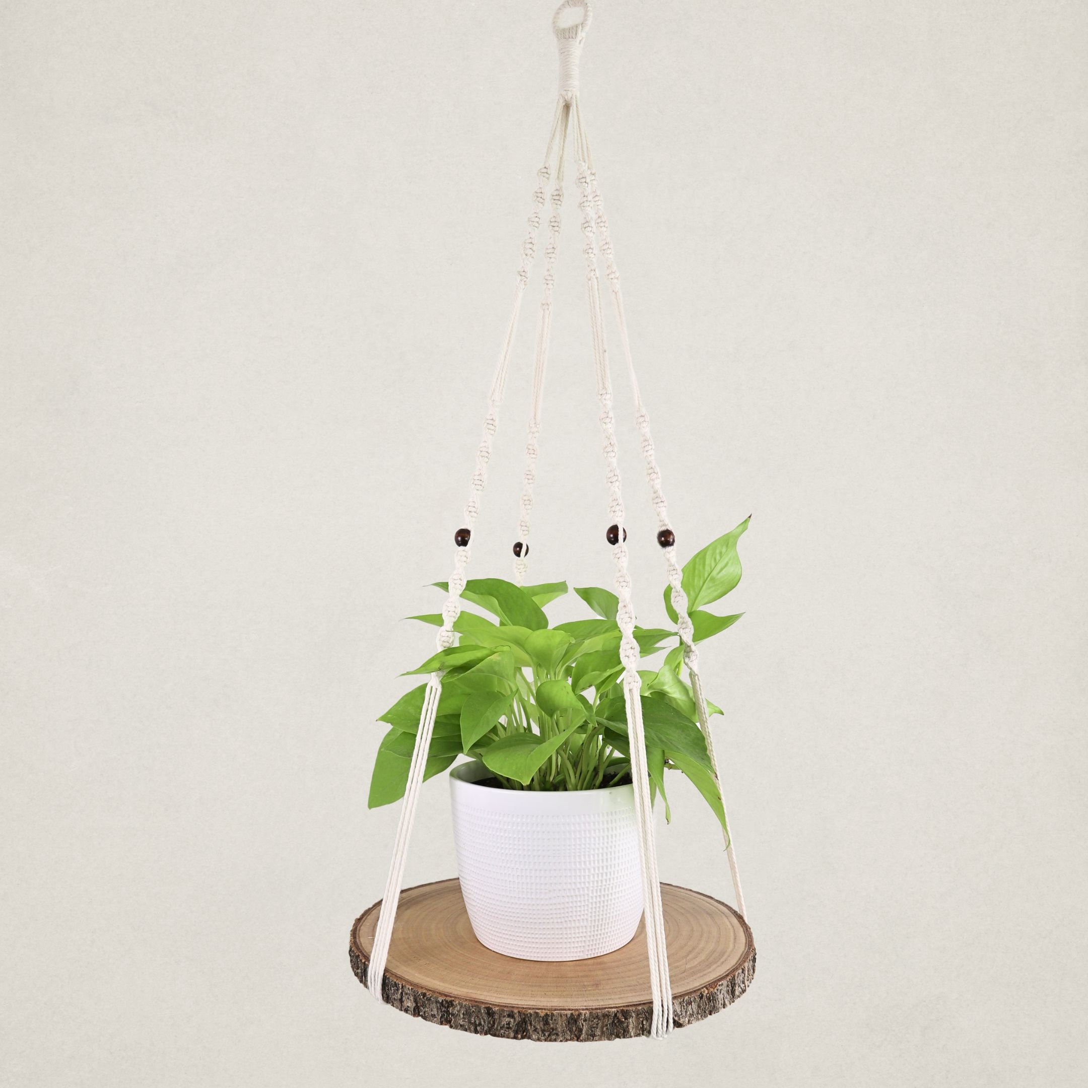 Macrame Plant Hanger Shelf - Floating Plant Shelf - Rustic Plant Hanger ...