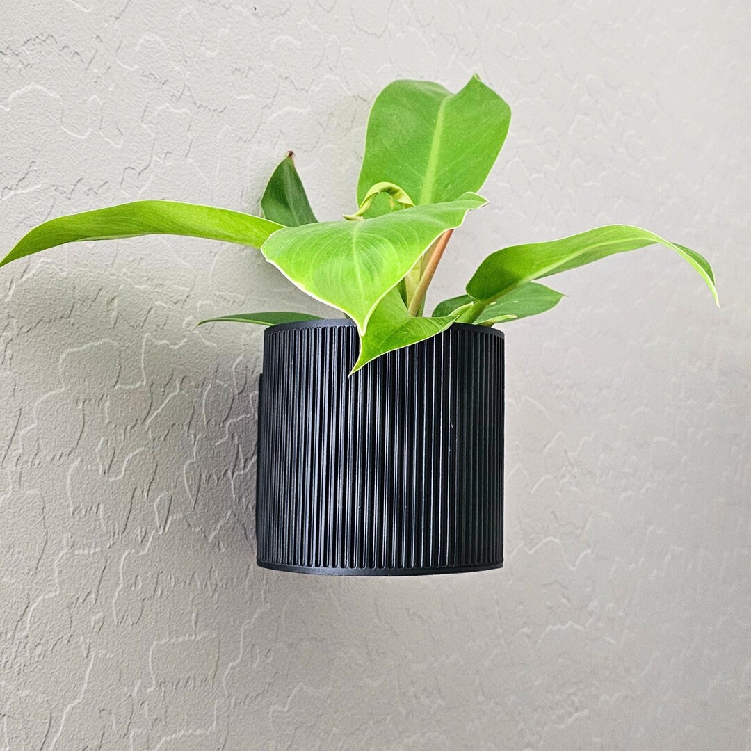 Wall Mounted Planters - Unique Planter for Wall Plants - Wall Planters ...