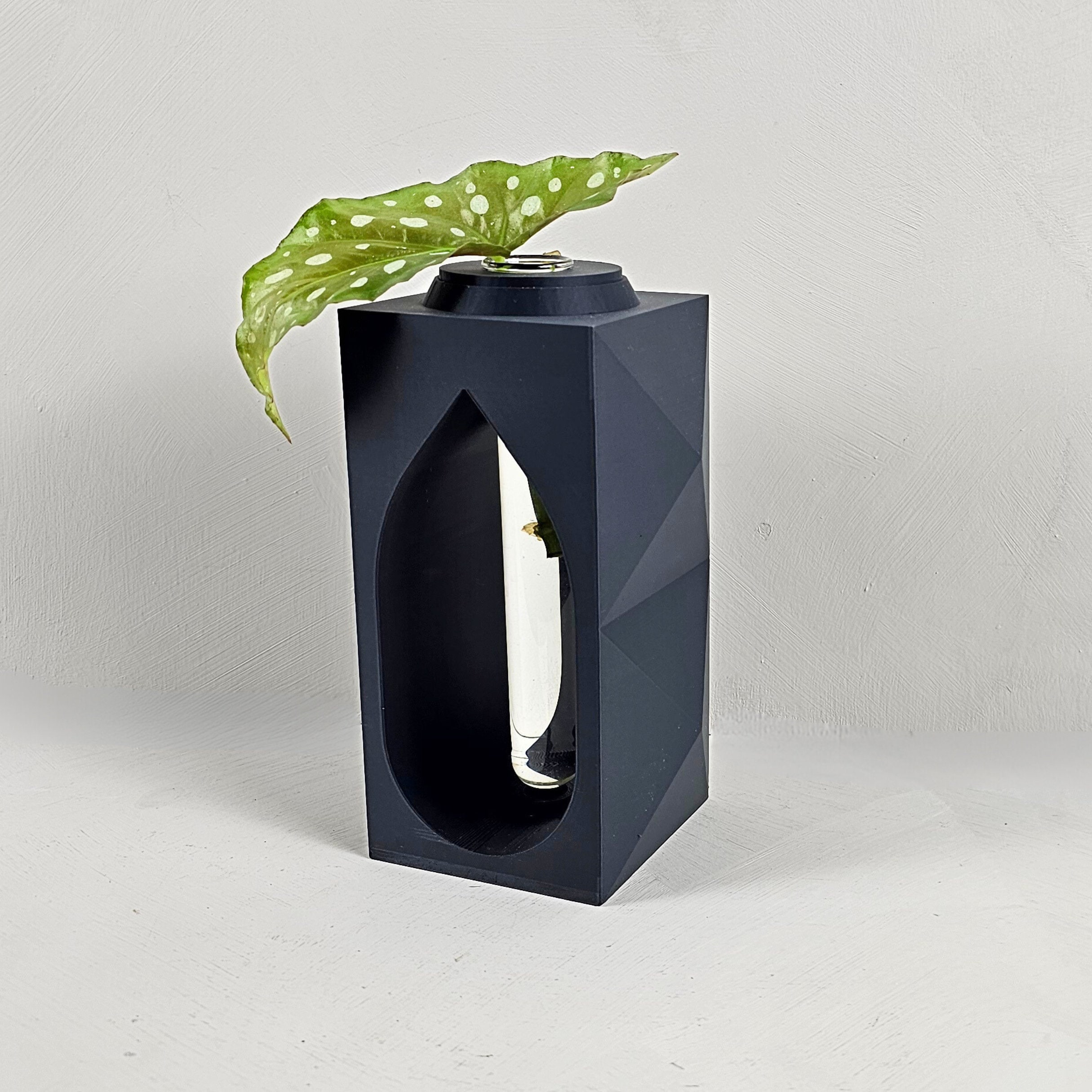 Plant Propagation Vase Unique Propagation Station Hydroponic Vase for ...