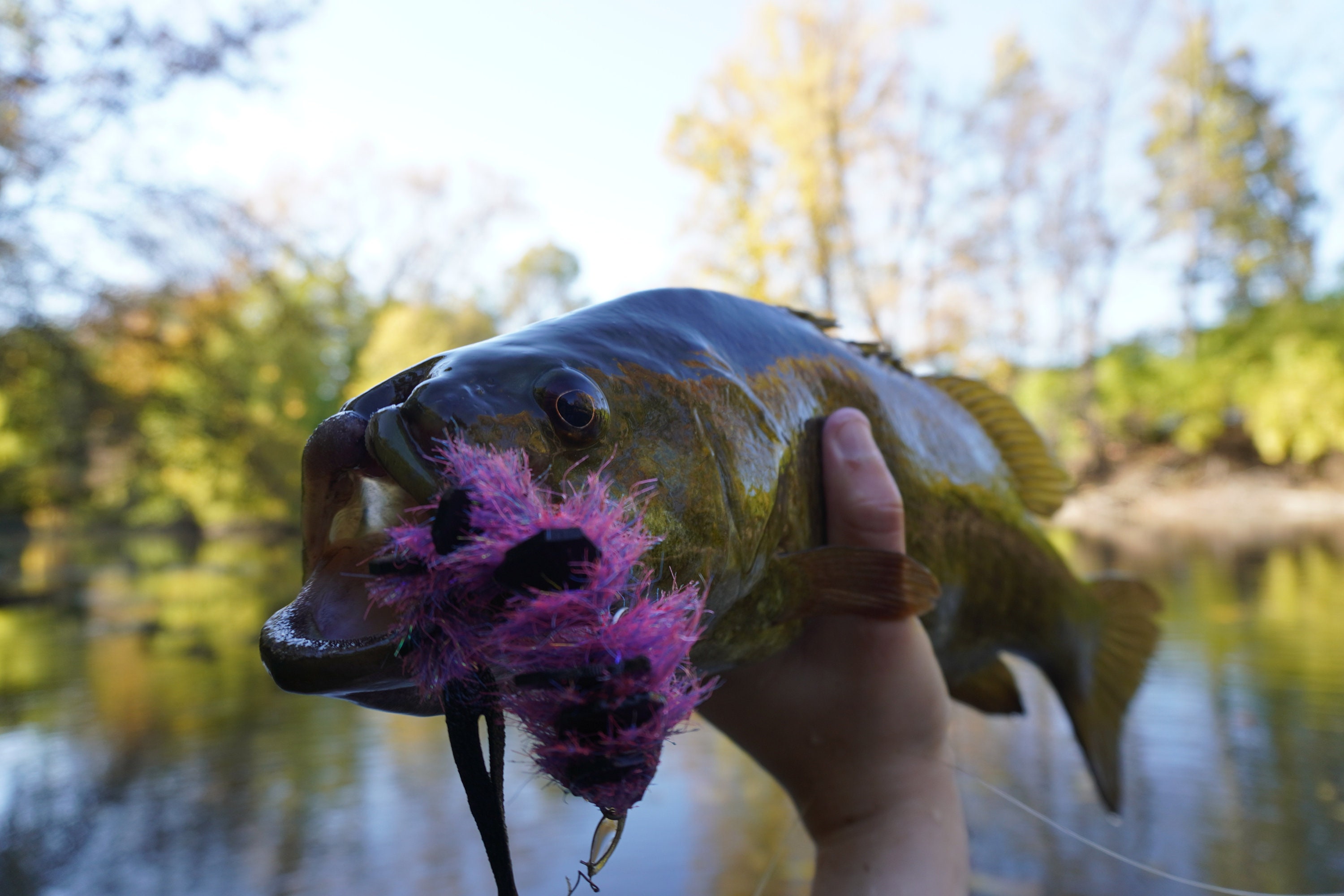 Slow Water Game Changer Streamer for Bass and Pike - Etsy
