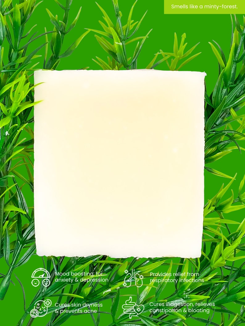 Grassfed & Finished Beef Tallow Soap: Handmade Natural Soap for ...