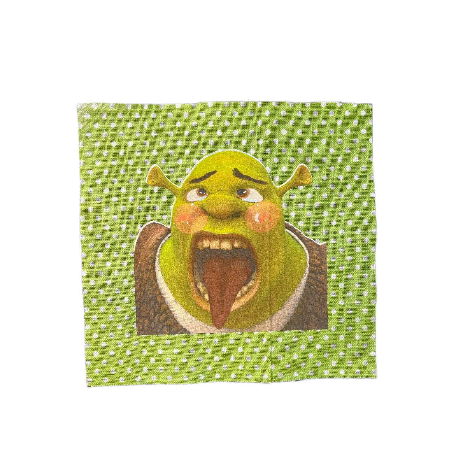 Shrek Ahegao Face 1 of 1 Patch Funky Printed Fabric - Etsy
