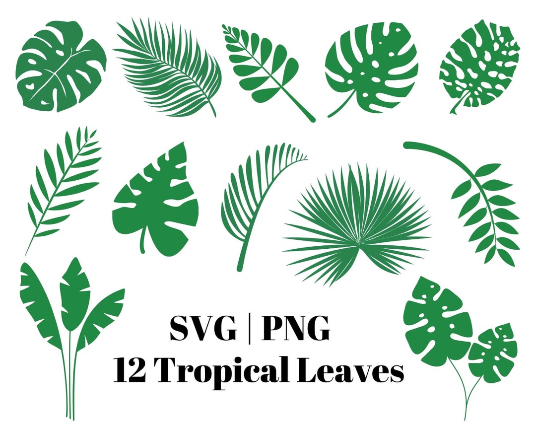 Tropical Leaves SVG, Monstera Leaf SVG, Palm Leaf SVG, Tropical Leaf ...
