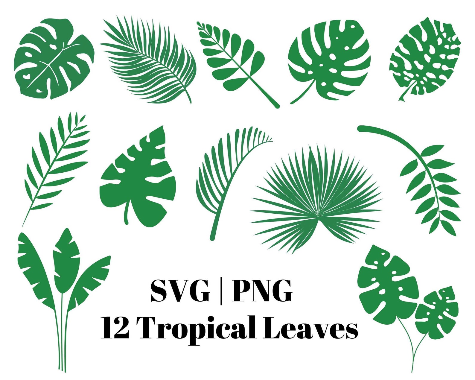 Tropical Leaves SVG, Monstera Leaf SVG, Palm Leaf SVG, Tropical Leaf ...