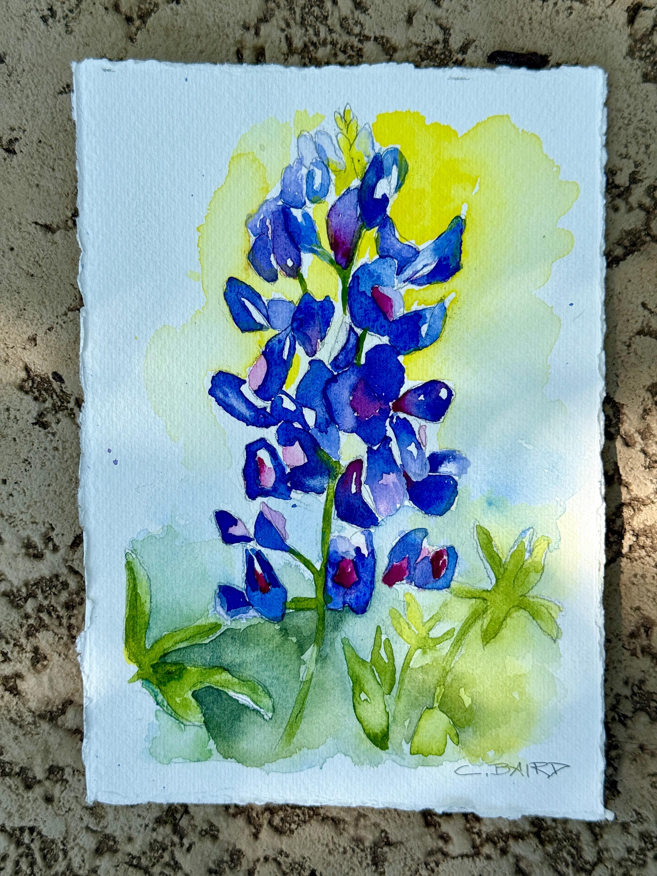 Bluebonnet Original 5x7 Watercolor Painting - Etsy