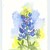 Bluebonnet Original 5x7 Watercolor Etsy