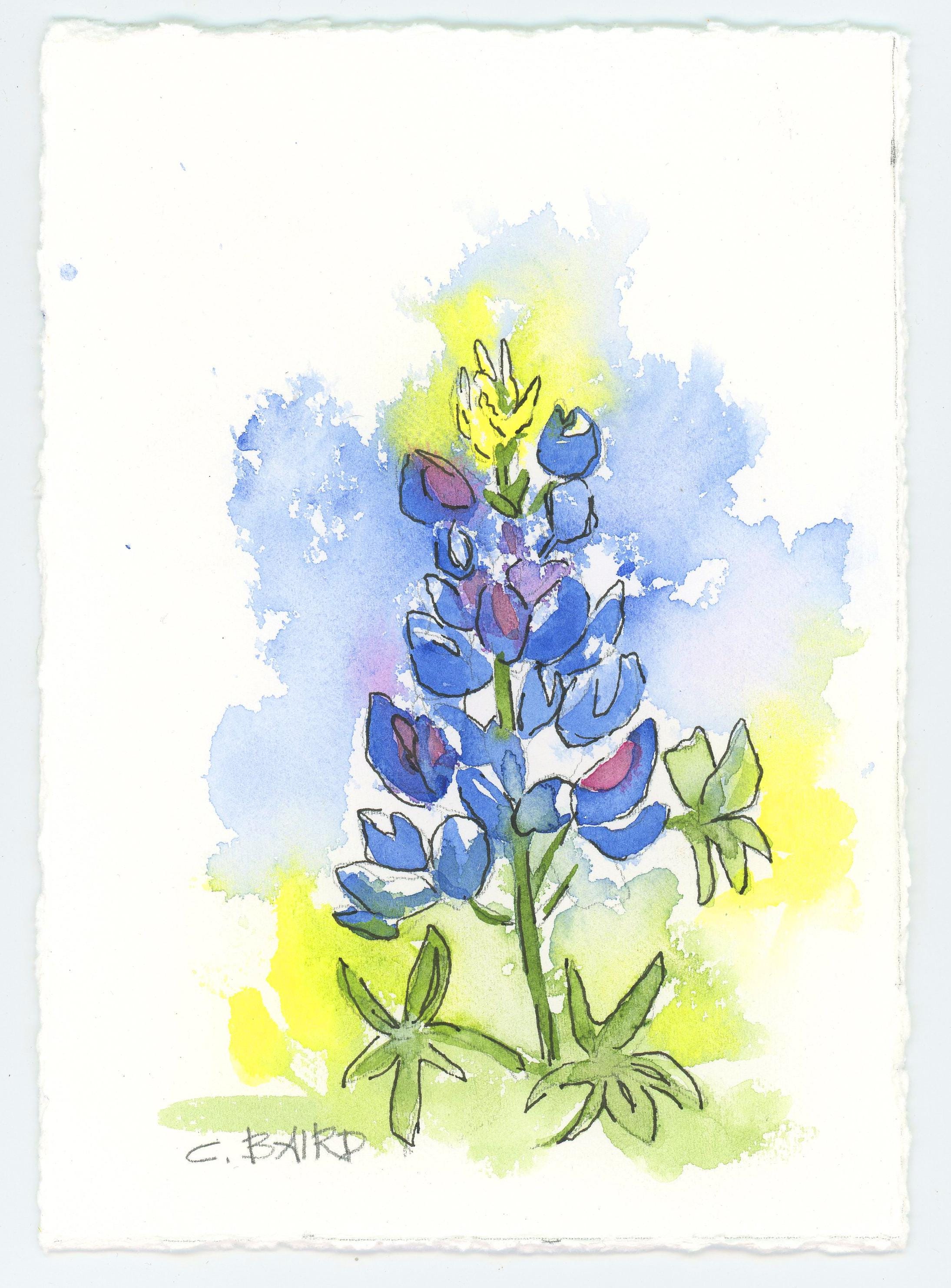 Bluebonnet Original 5x7 Watercolor - Etsy