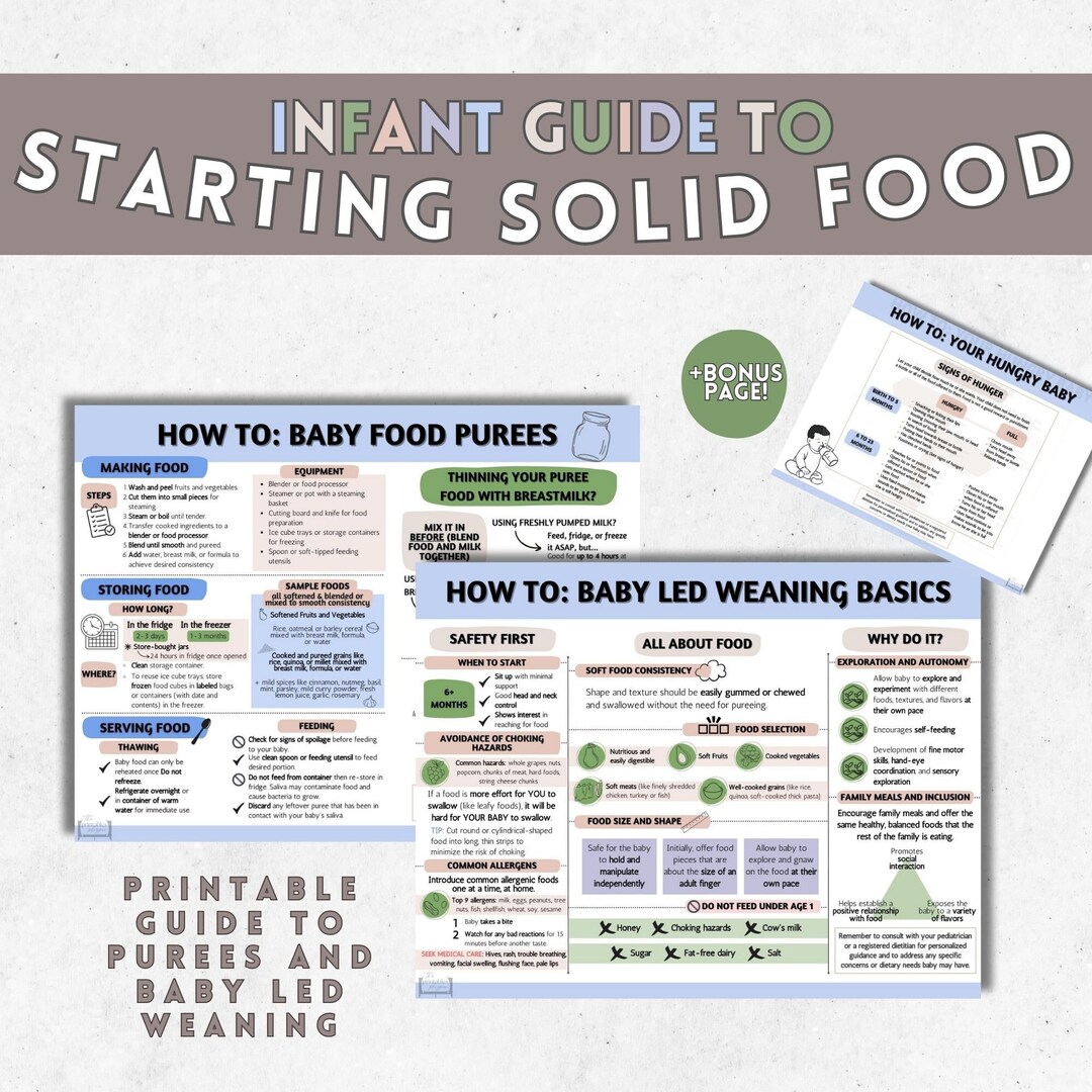 Starting Solid Food Guide: Baby Led Weaning & Purees (printable) - Etsy