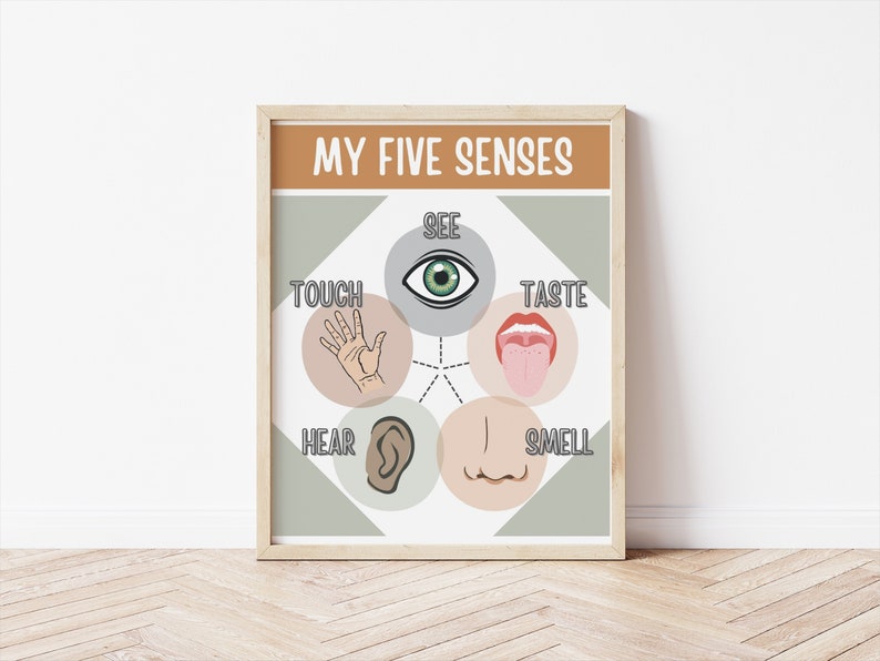 Simple Five Senses Feelings Posters Self-regulation Technique Calm ...