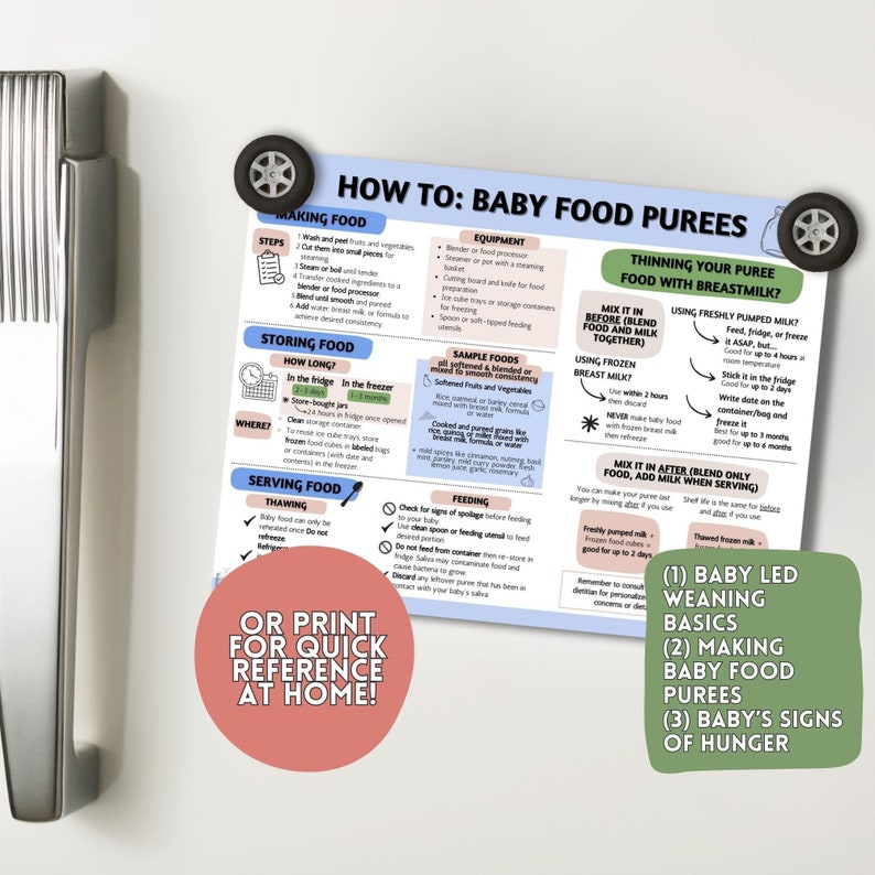 Starting Solid Food Guide: Baby Led Weaning & Purees (printable) - Etsy