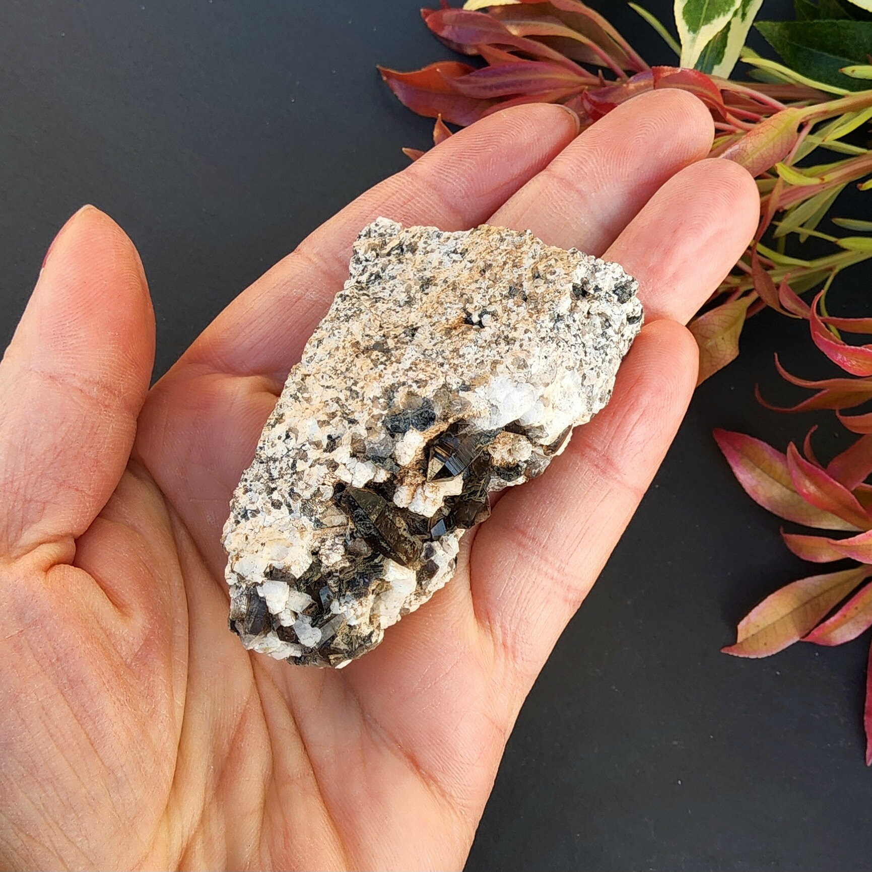 Smoky Quartz and Albite Combo in Granite From the Mourne Mountains ...